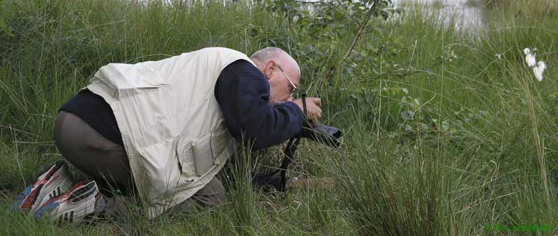 Top Kalkman Biografie