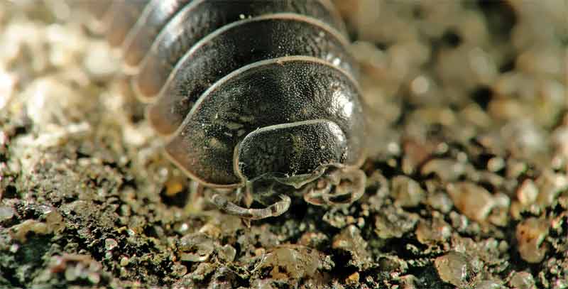 Untitled Document [home.hccnet.nl]